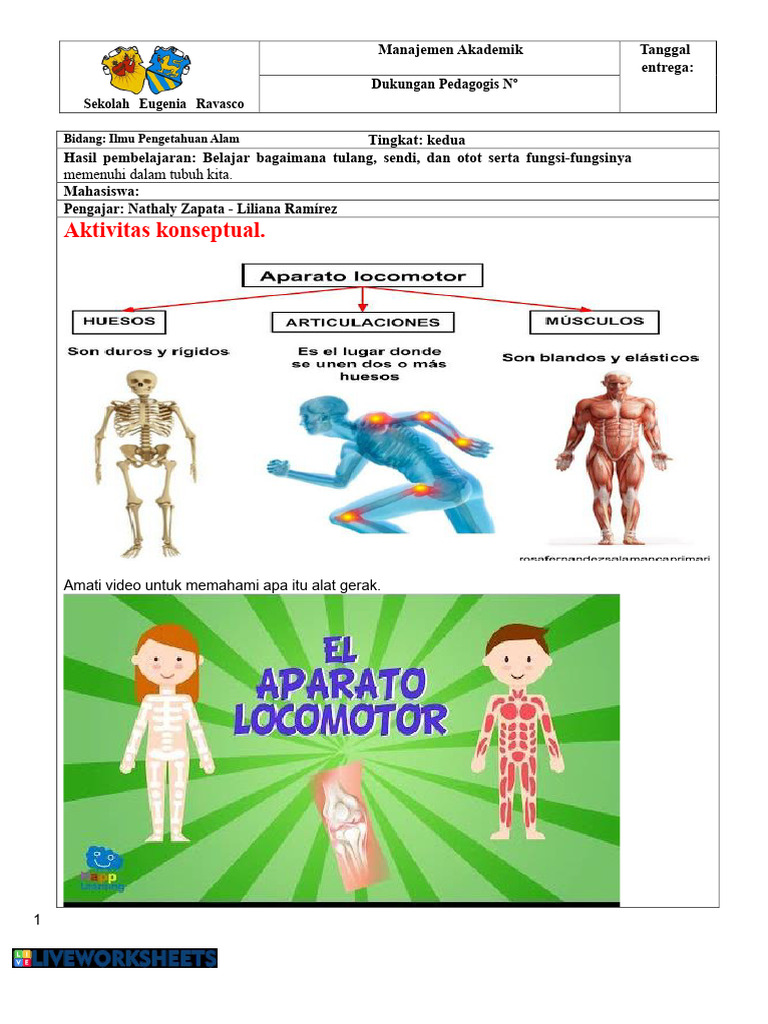 Alat Gerak | PDF