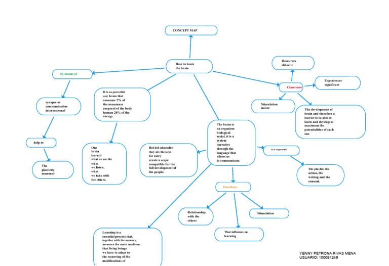How The Brain Learns Conceptual Map Neuropsychology | PDF | Brain ...