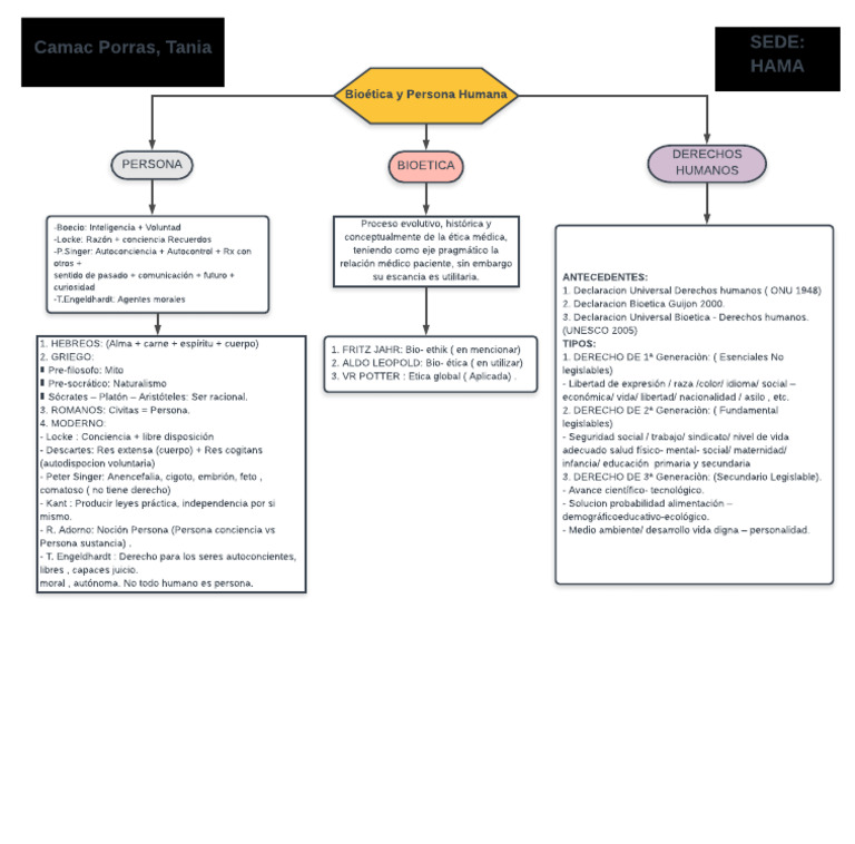 Conceptual Map 4 | PDF