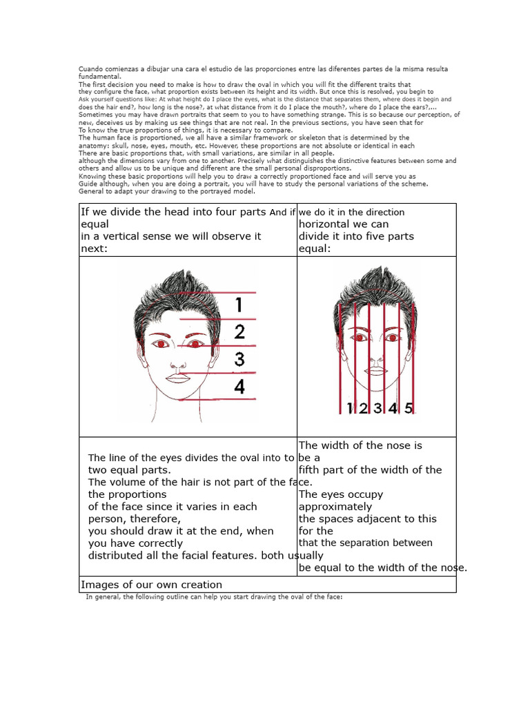 Measurements of The Human Face | PDF | Face | Drawing