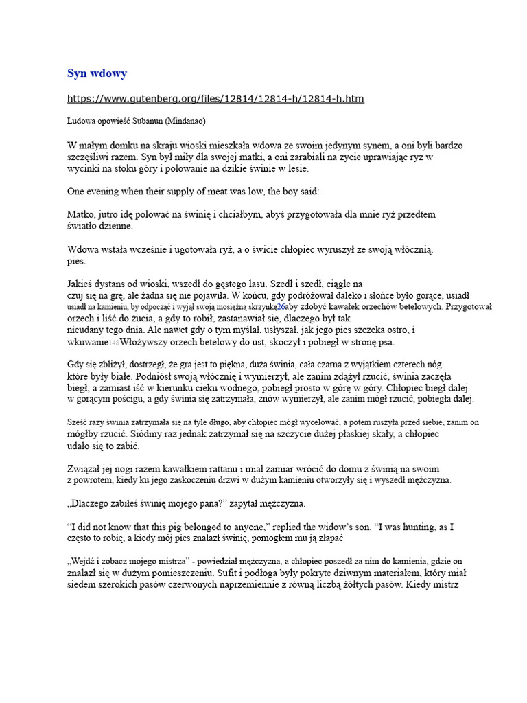 Syn Wdowy | PDF