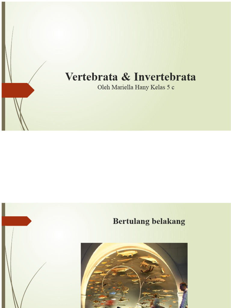 Perbandingan Vertebrata dan Invertebrata | PDF