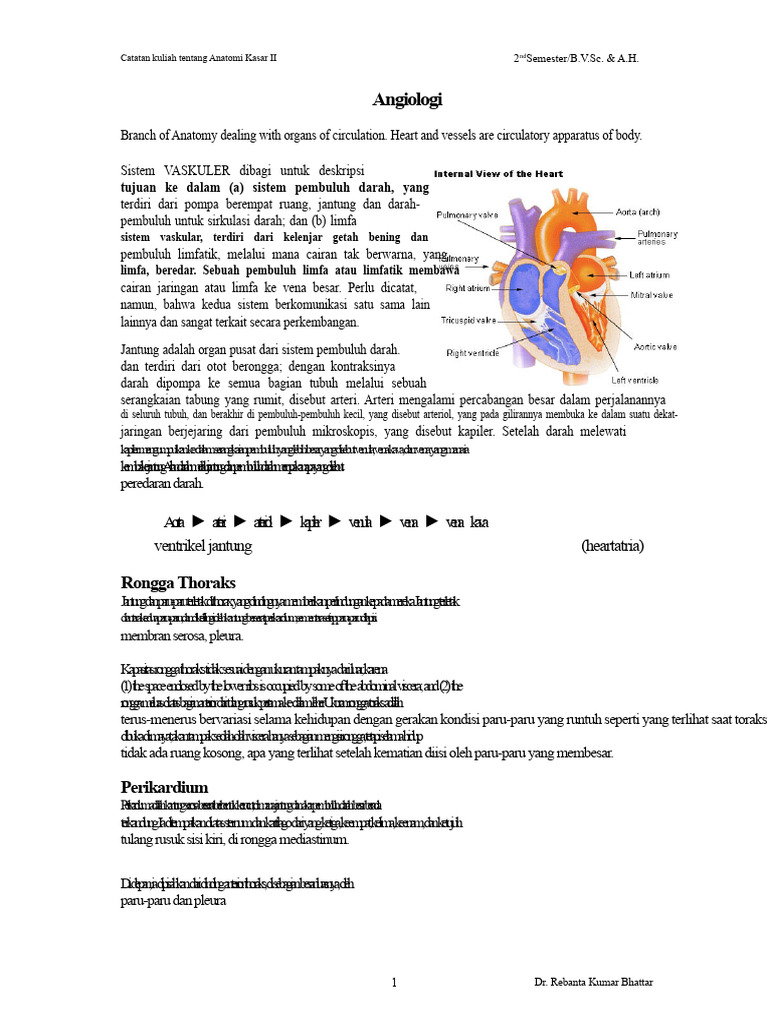 Anatomi Sistem Vaskular dan Perikardium | PDF