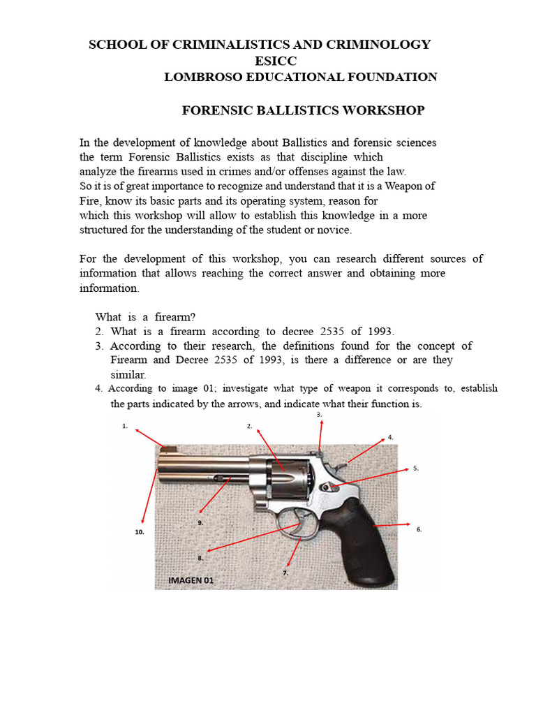 First Forensic Ballistics Workshop | PDF | Forensic Science | Crimes