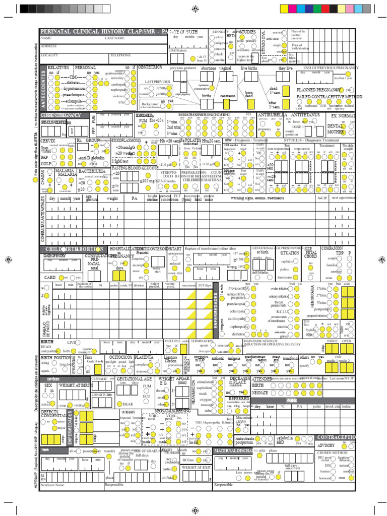 259163419-Perinatal Clinical History-Base-Sip-2012 PDF | PDF | Gender ...