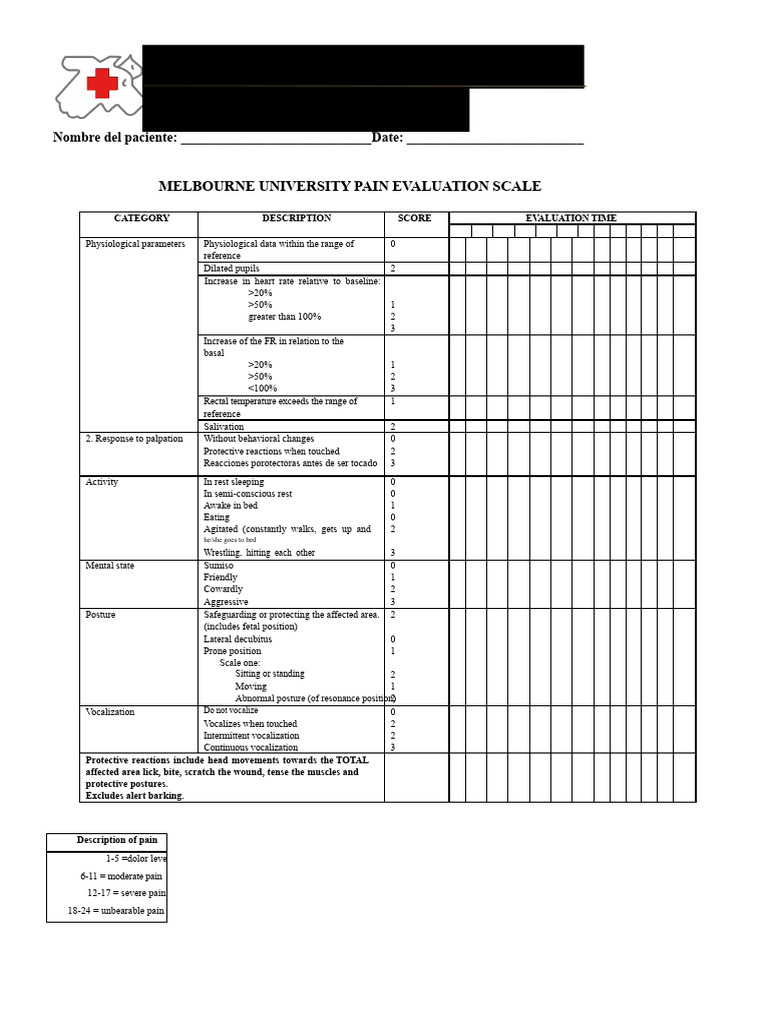 Melbourne Pain Scale | PDF | Clinical Medicine | Diseases And Disorders