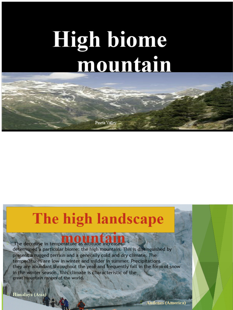 High Mountain Biome | PDF | Mountains | Temperate Climate