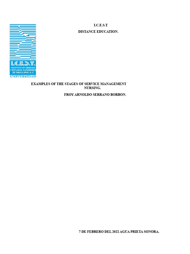 Examples of The Stages of Nursing Services Administration | PDF ...