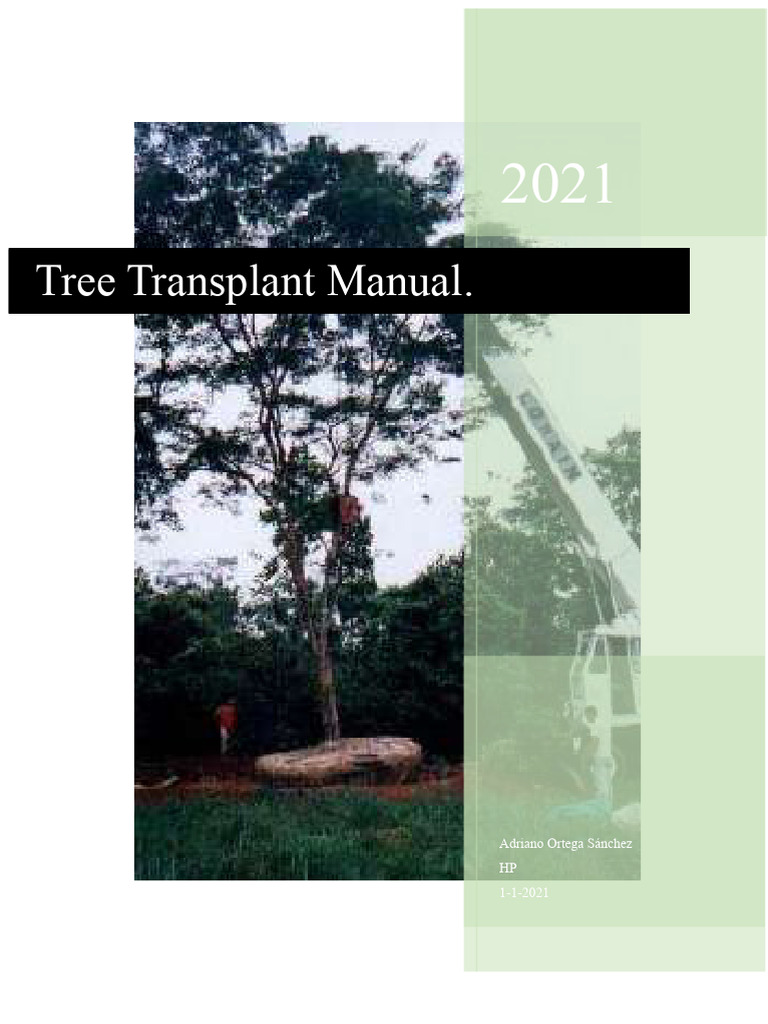 Tree Transplant Techniques in Mexico | PDF | Trees | Root
