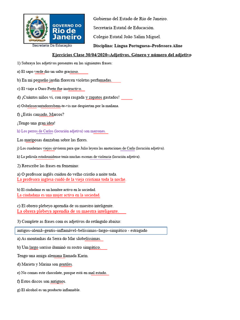 Corrección de Ejercicios Adjetivos - Género y Número | PDF | Adjetivo ...