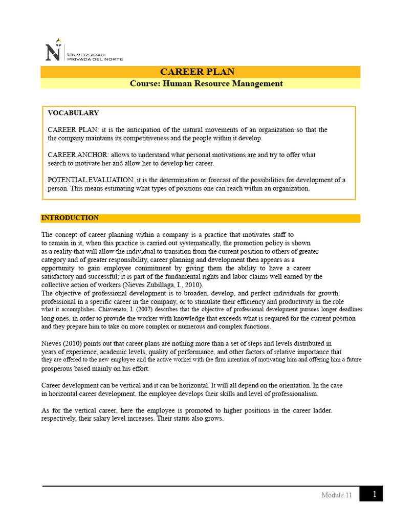 Career Plan PDF | PDF | Goal | Creativity