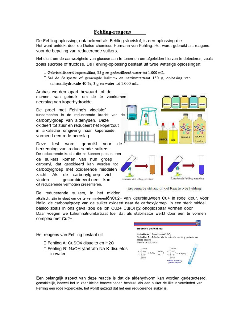 Fehling Reagens | PDF