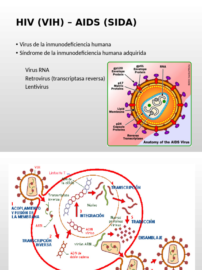 Hiv Sida | PDF | VIH | VIH / SIDA