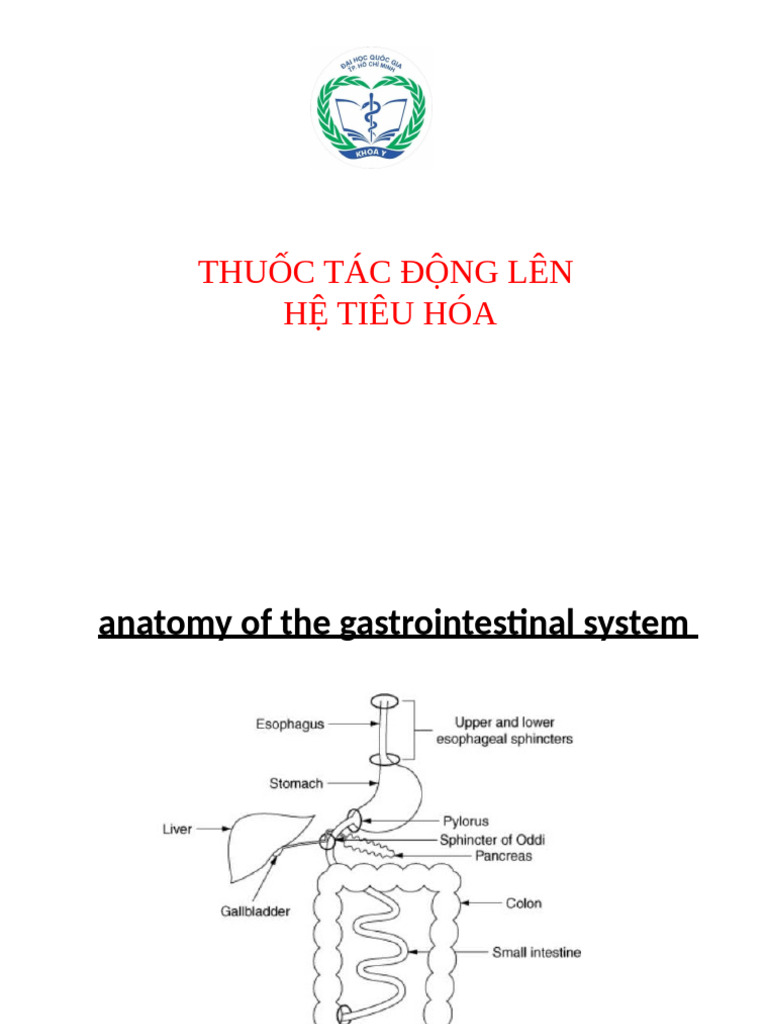 Thuoc Tac Dong Len He Tieu Hoa - Dhqg-Y2023 | PDF
