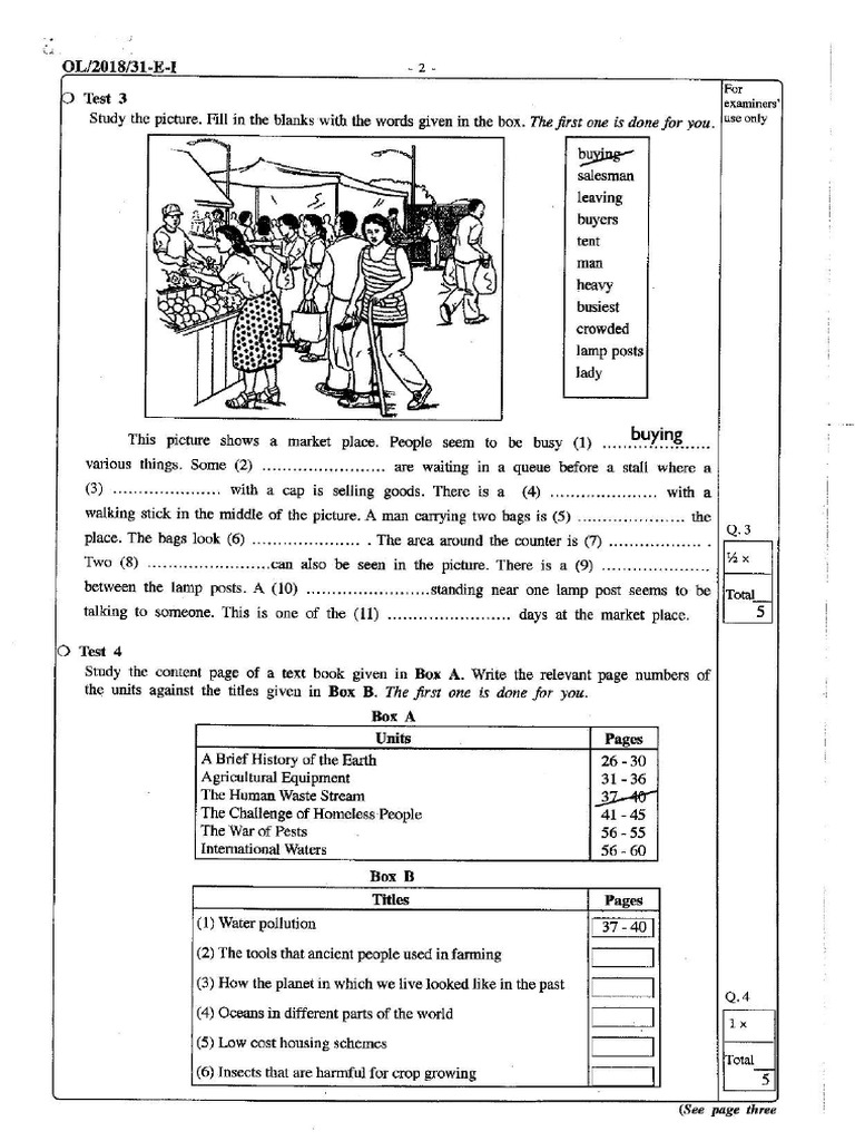 2018 Ol English Past Paper With Marking Examresults - LK Removed | PDF