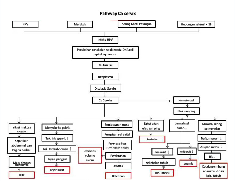 Faktor Risiko dan Gejala Ca Serviks | PDF