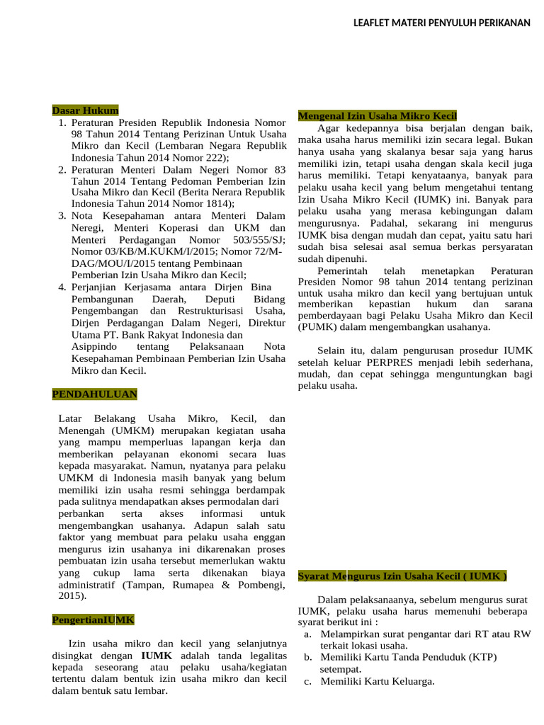 Leflet Informasi IUMK - Gita Viadanti | PDF