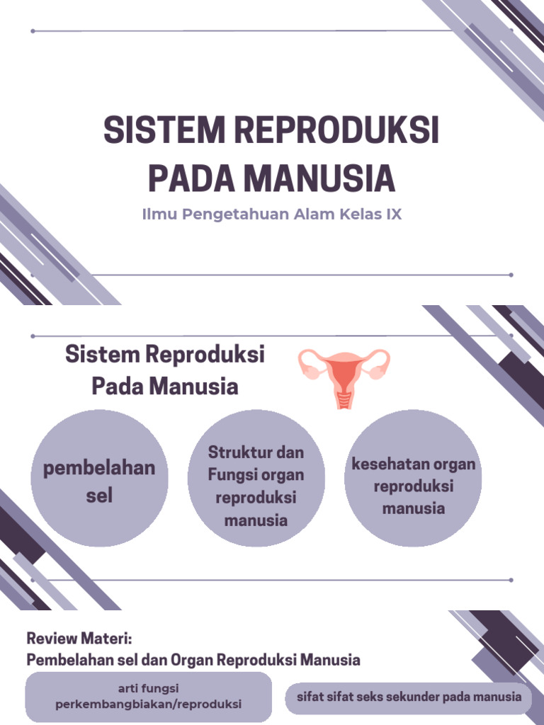 Penyakit dan Pencegahan Reproduksi Manusia | PDF