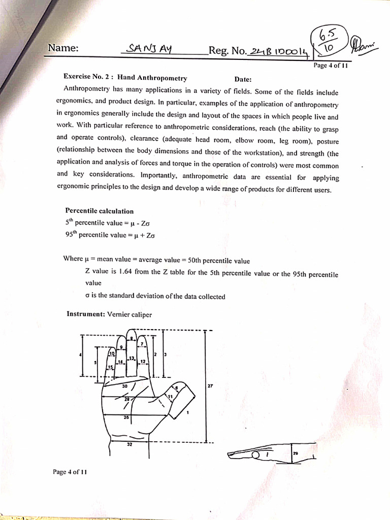 Hand Anthropometry | PDF