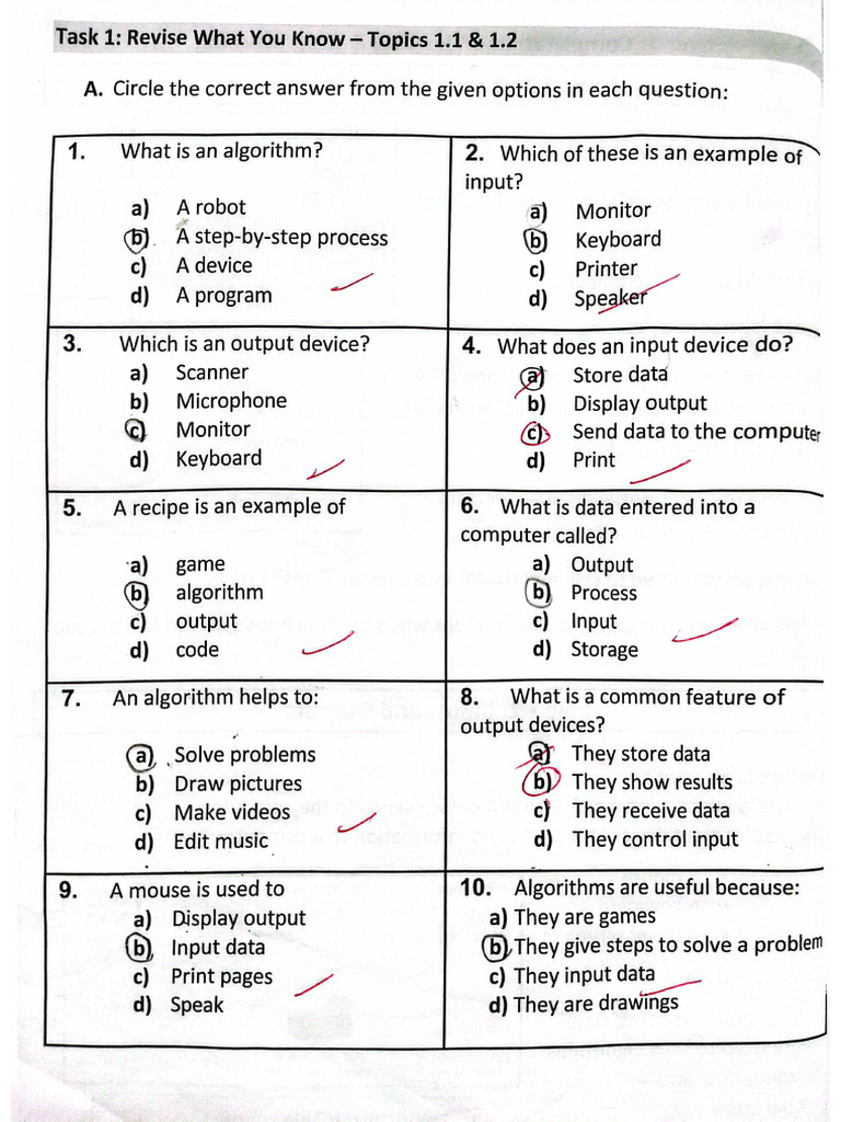 Grade3 Computing | PDF