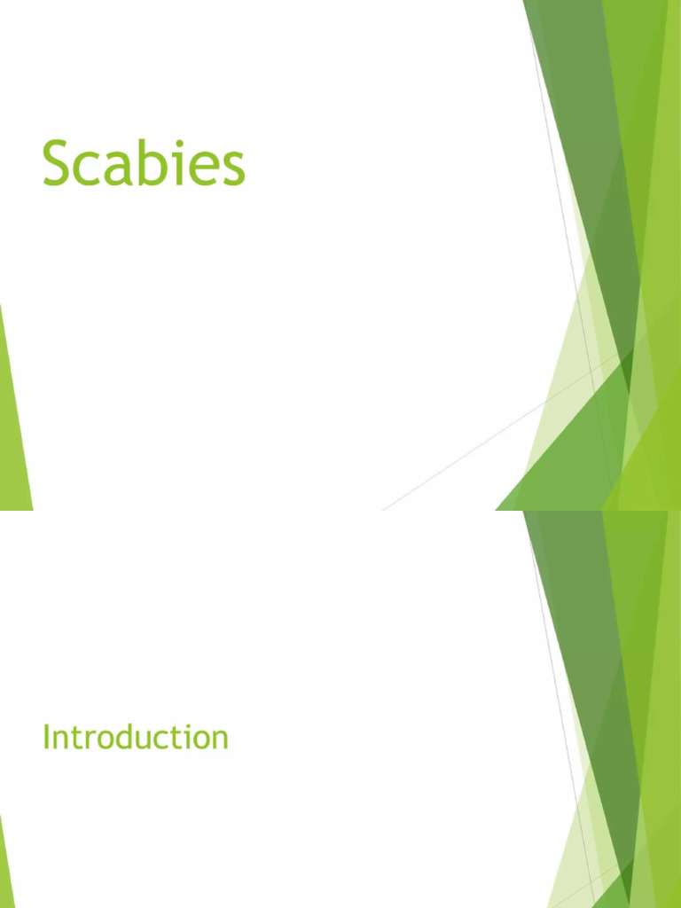 Scabies 3rd Year | PDF