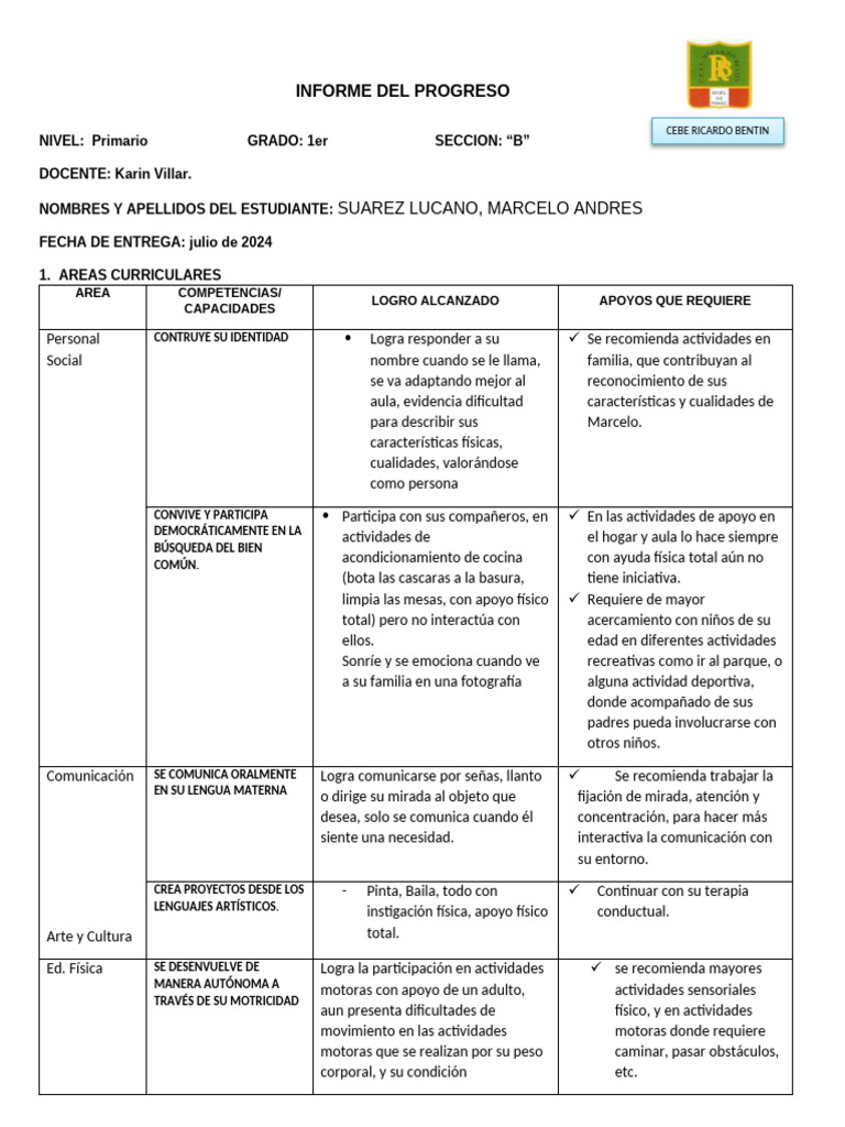 Informe de Progreso 2024 Marcelo | PDF | Aprendizaje | Conceptos ...