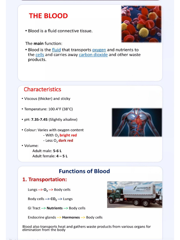 Blood PDF | PDF