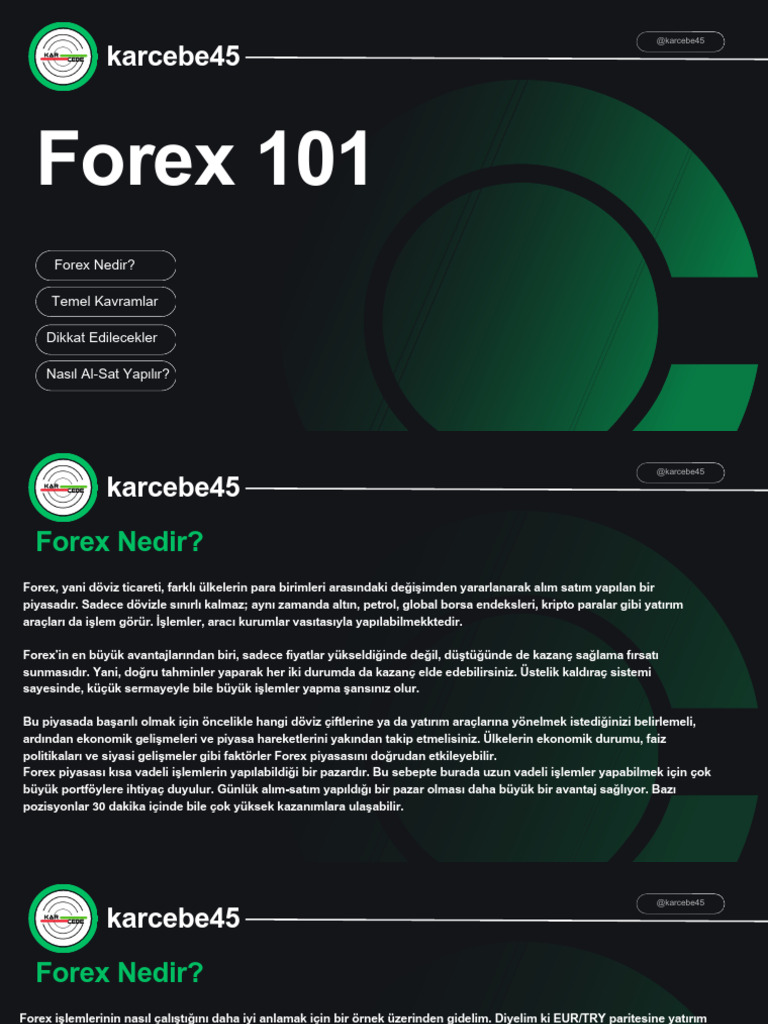 Forex 101 | PDF