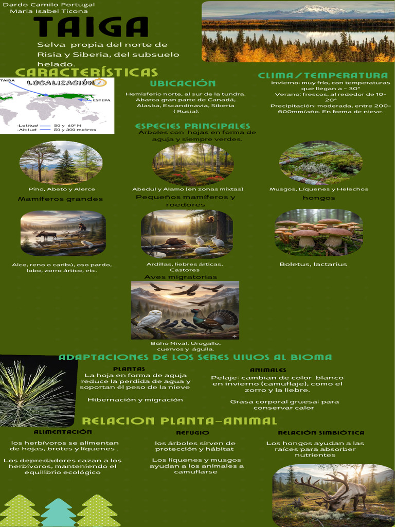Bioma Taiga - 20251105 - 164313 - 0000 | PDF | Zoología