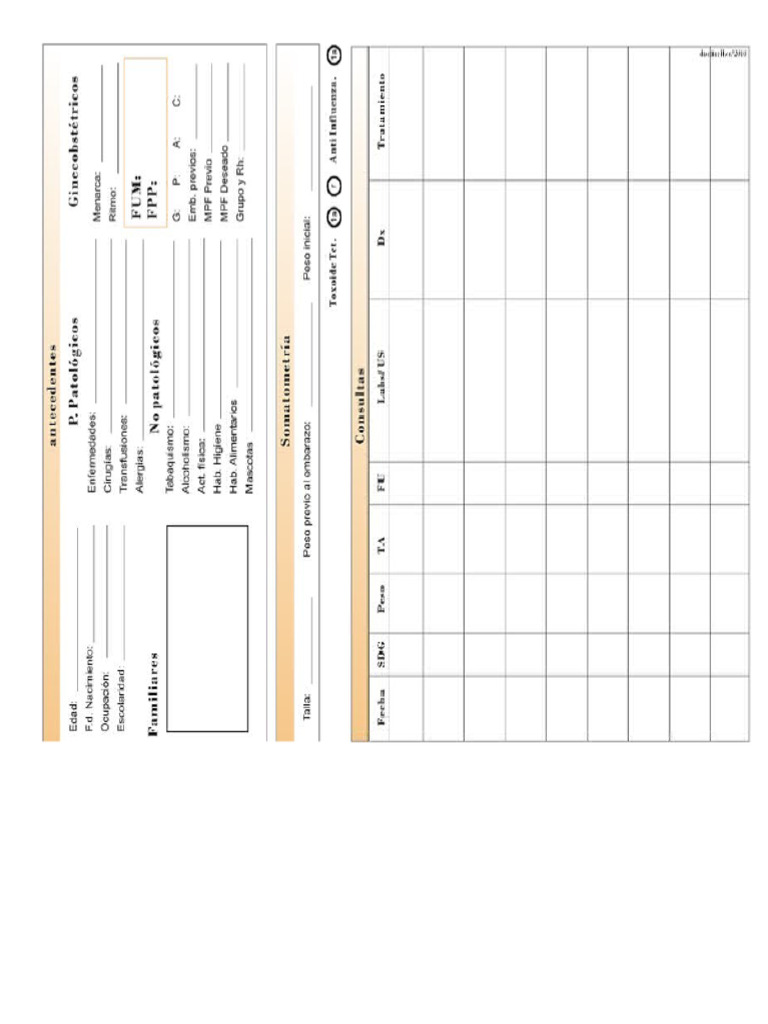 393150956-Prenatal control card | PDF | Pregnancy | Prenatal Development