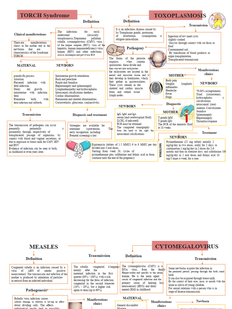 Understanding TORCH Syndrome and Infections | PDF | Human Diseases And ...