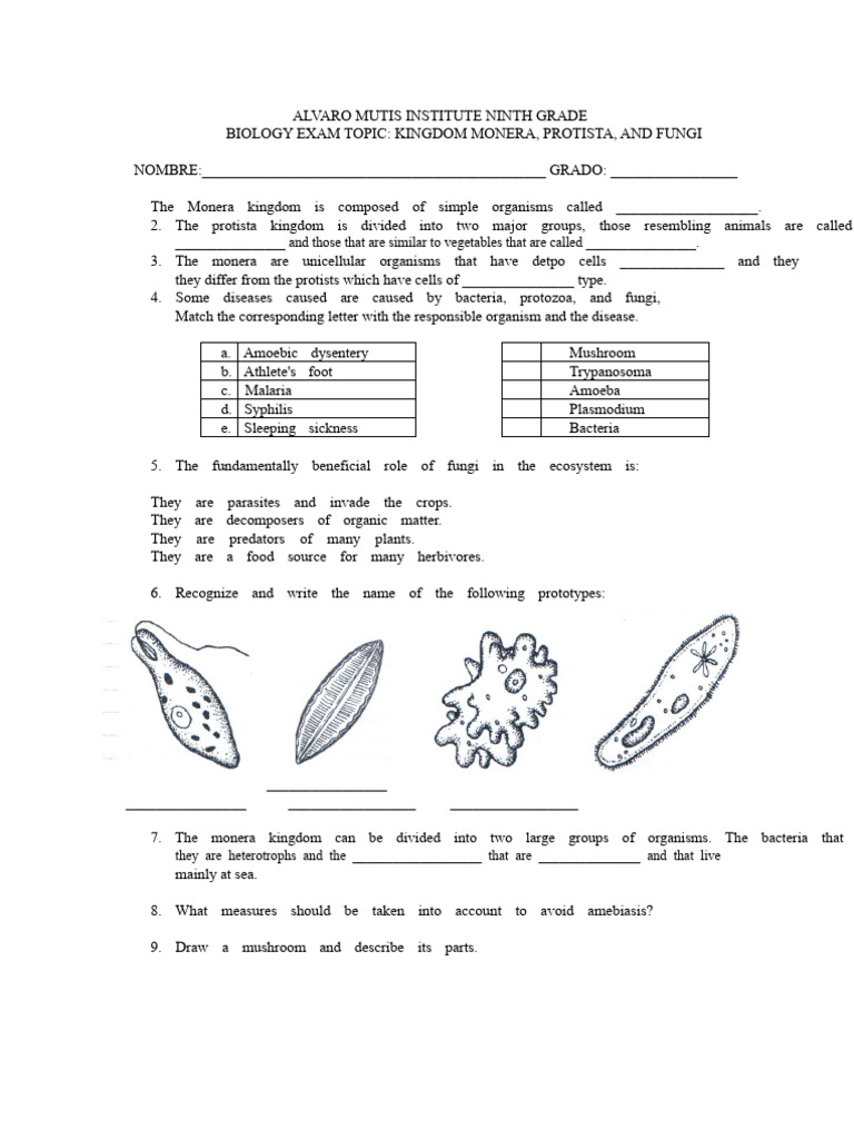 Exam On Protists, Monerans, and Fungi Ninth Grade | PDF | Gases | Protozoa