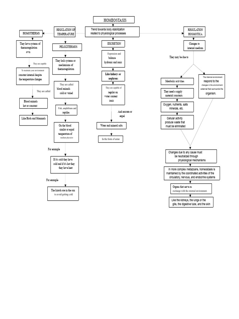 Conceptual map homeostasis | PDF | Thermoregulation | Homeostasis