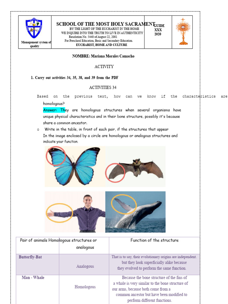 ACTIVITY 2 EVOLUTION.docx | PDF | Homology (Biology) | Evolution