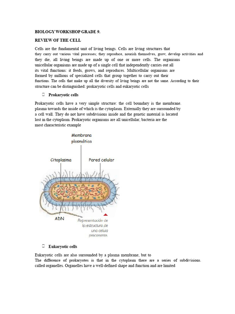 Biology Workshop Grade 9 | PDF | Cell (Biology) | Organelle