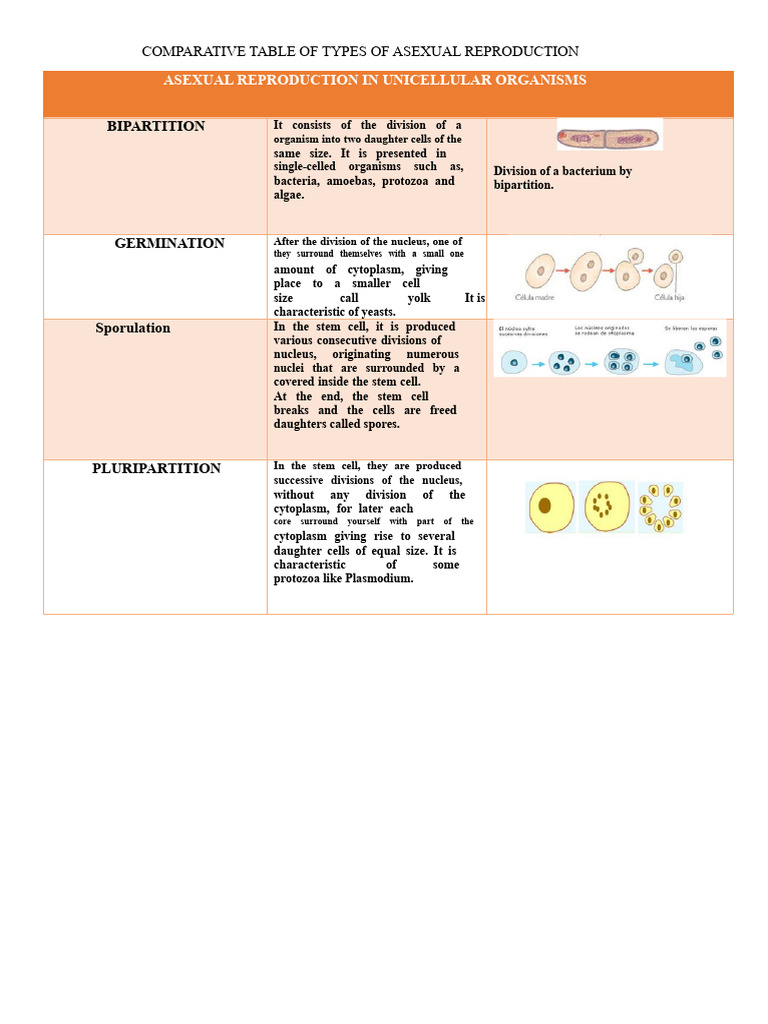 Types of Asexual Reproduction Explained | PDF | Sexual Reproduction ...