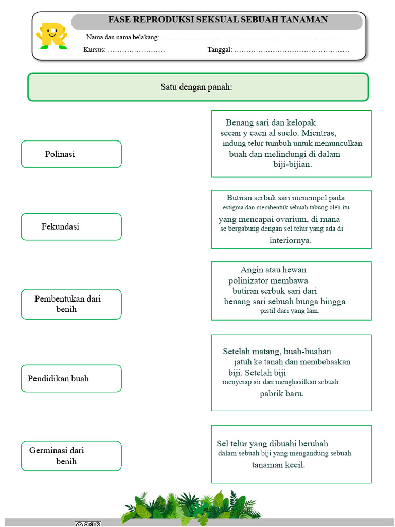 Proses Reproduksi Seksual Tanaman | PDF