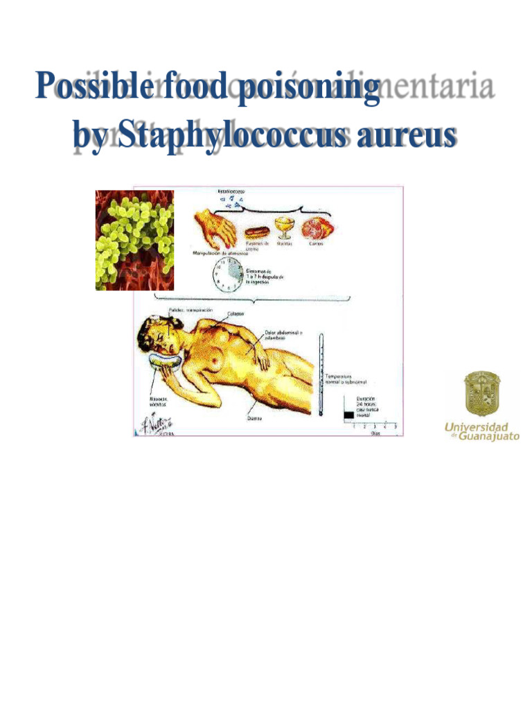 Possible Food Poisoning by Staphylococcus Aureus | PDF | Foodborne ...