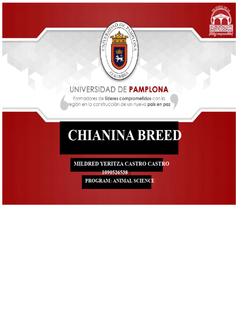 Chianina Cattle: Characteristics & Origin | PDF | Livestock | Zoology