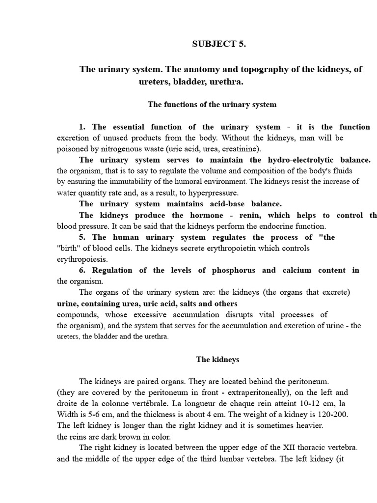 Anatomy of The Urinary System | PDF | Angiotensin | Kidney