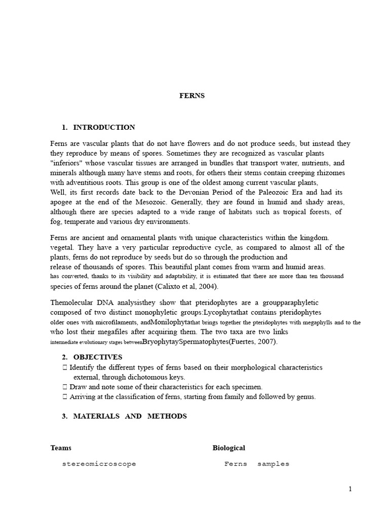 Identifying Fern Species and Characteristics | PDF | Fern | Leaf