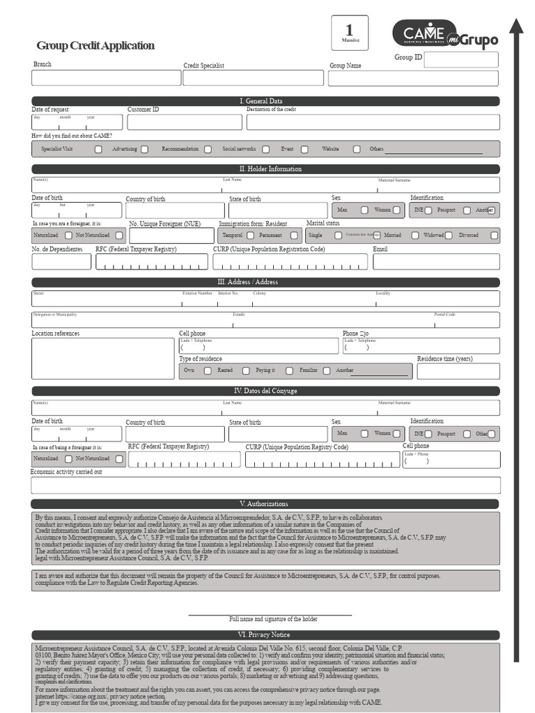 Group Credit Application | PDF | Identity Document | Insurance