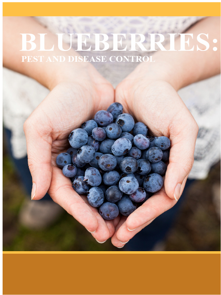 Blueberry Pest and Disease Management | PDF | Pest (Organism ...