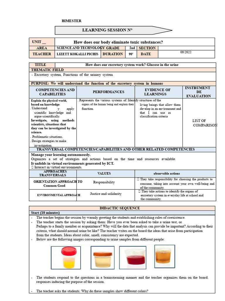 Understanding the Excretory System | PDF | Kidney | Urology