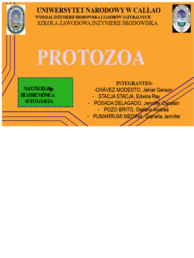PROTISTY | PDF