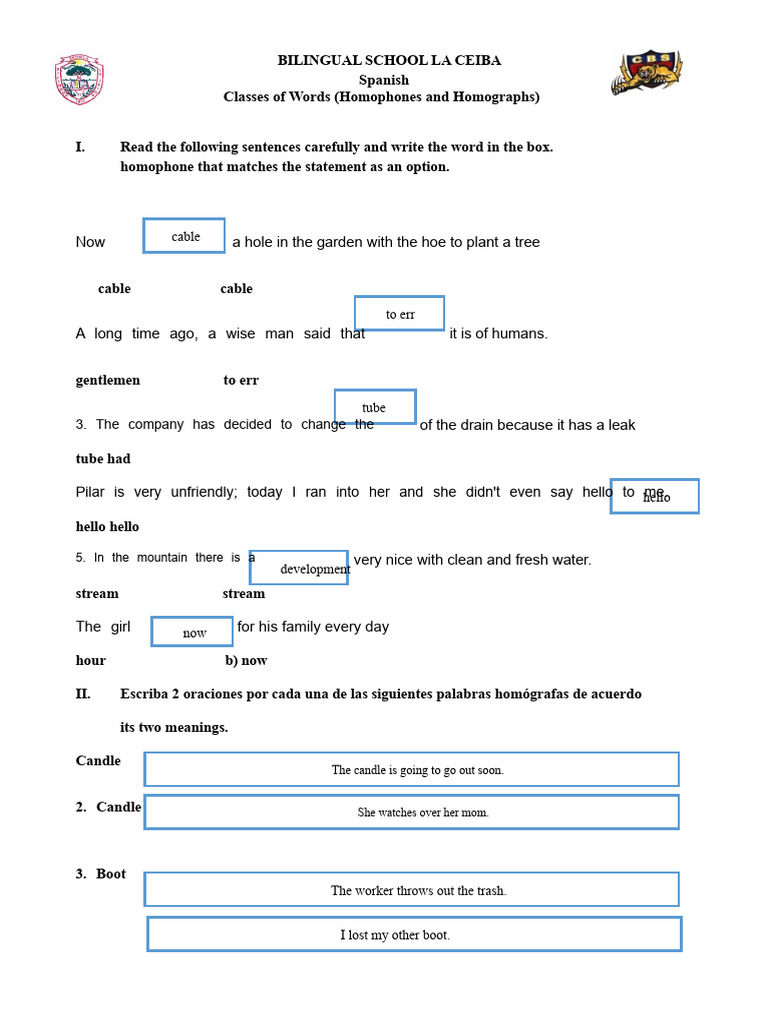 Exercises With Homographs and Homophones | PDF