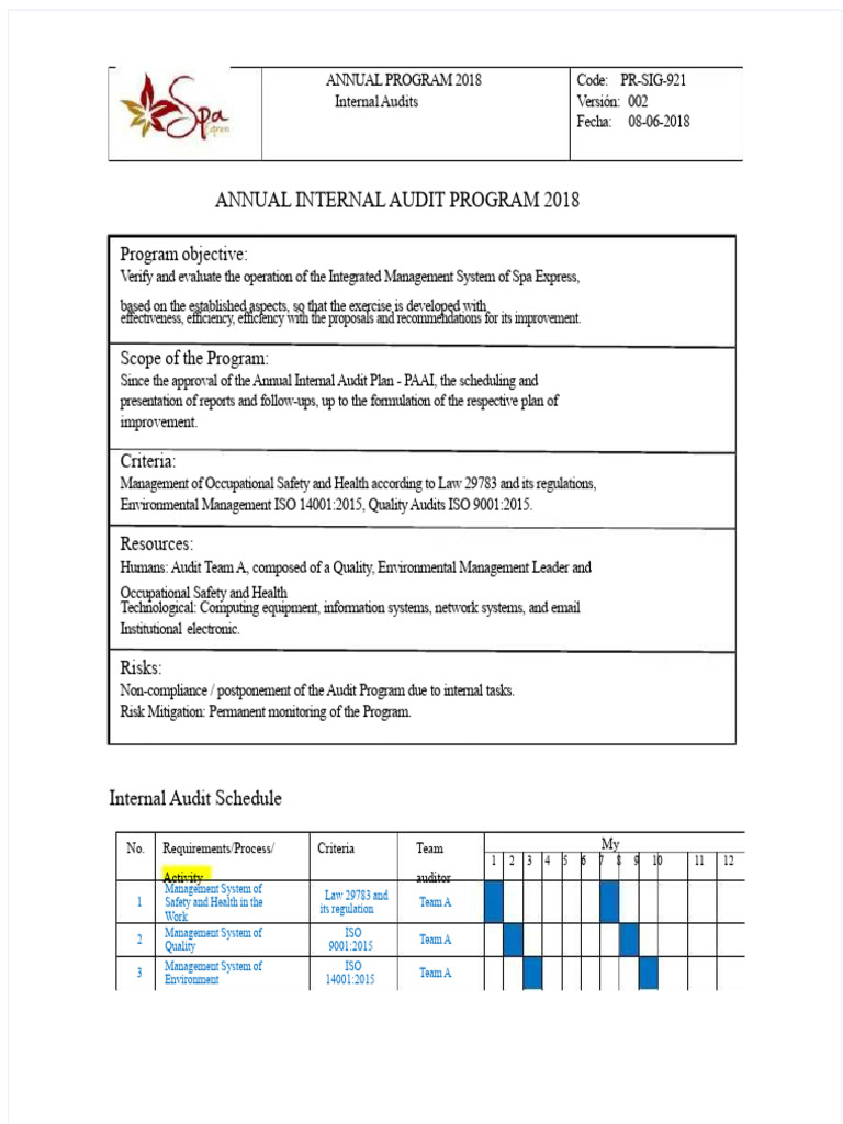 Annual Internal Audit Program | PDF