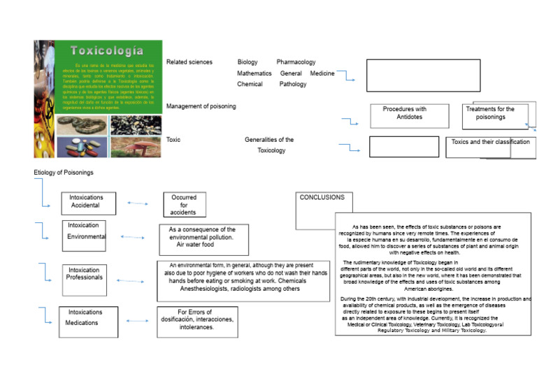 Synoptic Table Toxicology | PDF | Toxicology | Toxicity