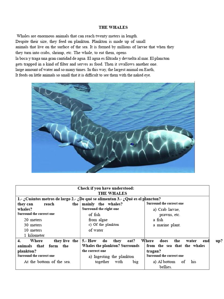 Reading comprehension | PDF | Plankton | Whales