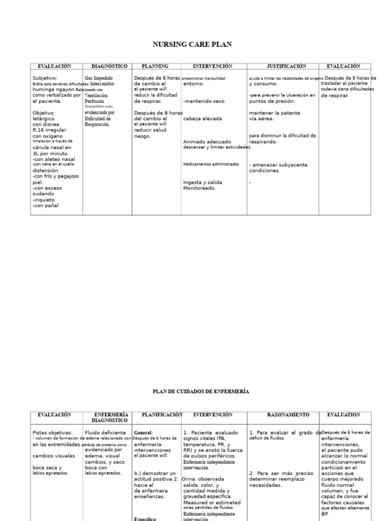 Plan de Cuidados de Enfermería | PDF | Enfermería | Edema